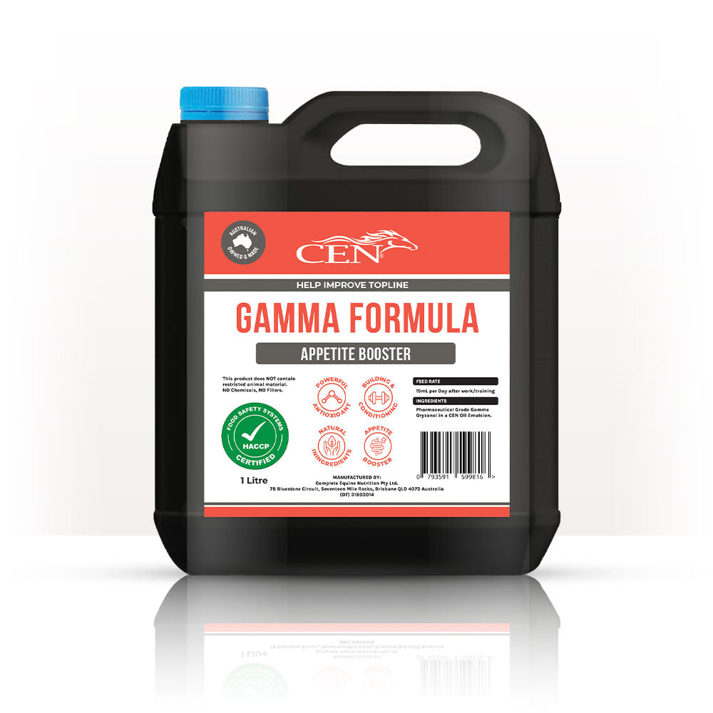 CEN Gamma Formula 1L